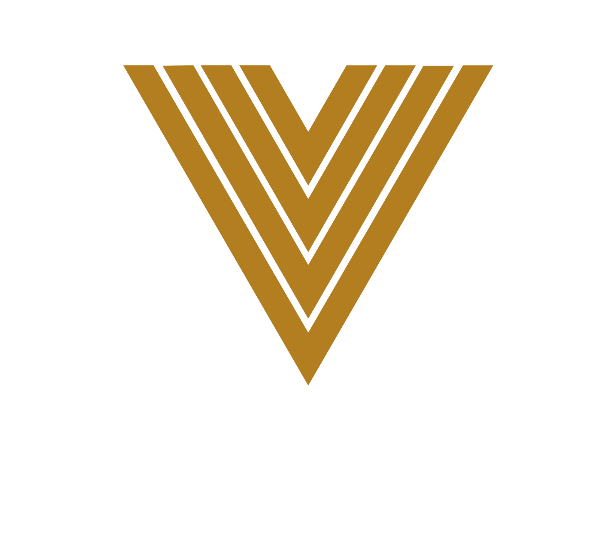 The V Hotel